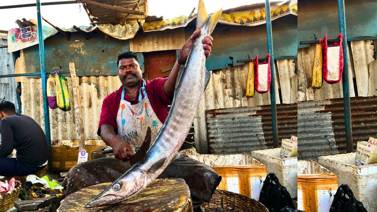 SHEELA BARRACUDA FISH CUTTING BY SPEED SELVAM | HD VIDEO | IN KASIMEDU ...