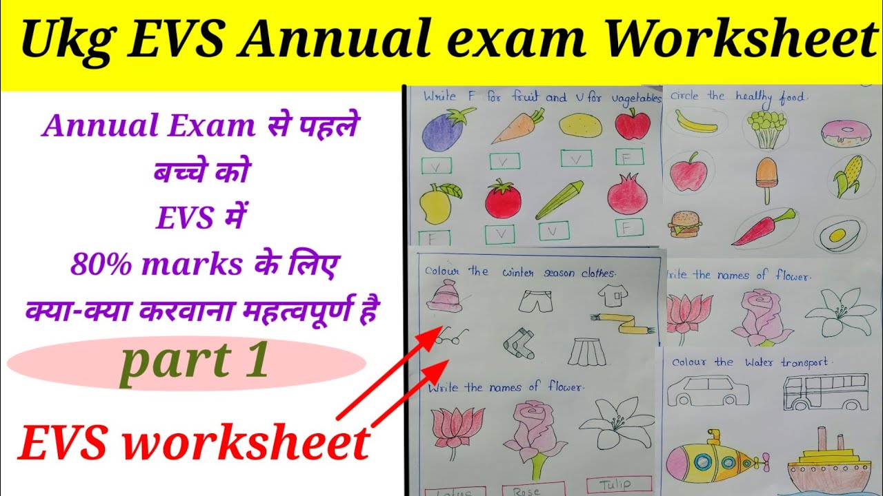 UKG EVS worksheet/Annual EVS worksheet for ukg/EVS annual exam paper ...