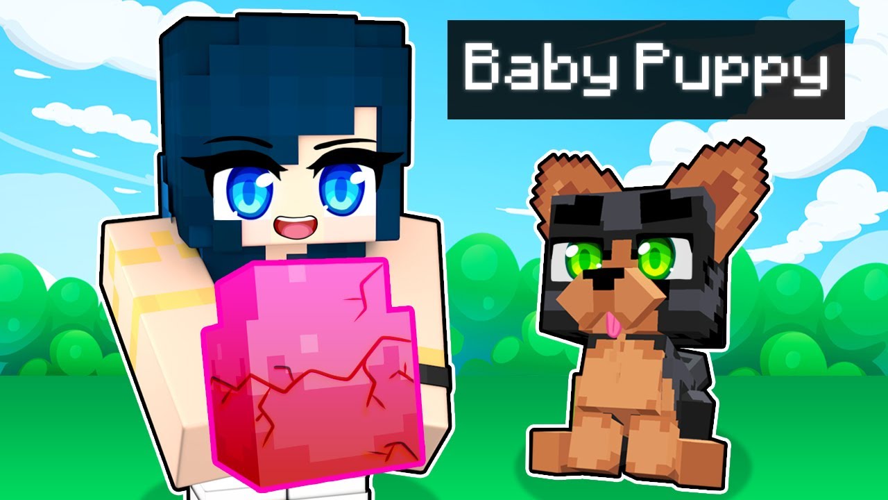 Adopting a BABY PUPPY in Minecraft! - YouTube
