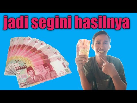 Jadi segini hasil tukang rosok keliling sekali angkut & jual pengepul ...