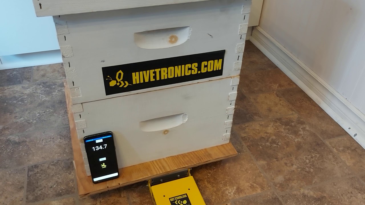 Portable Hive Scale Demonstration October 25th - YouTube
