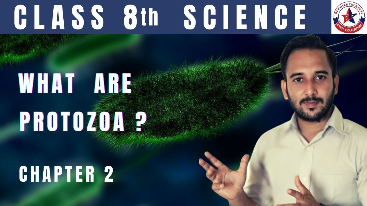 Protozoa (Full explanation)|Microorganisms Friend and Foe|class 8 ...