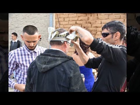 amko talava za drustvo tomi djeri 2022 ork despacito