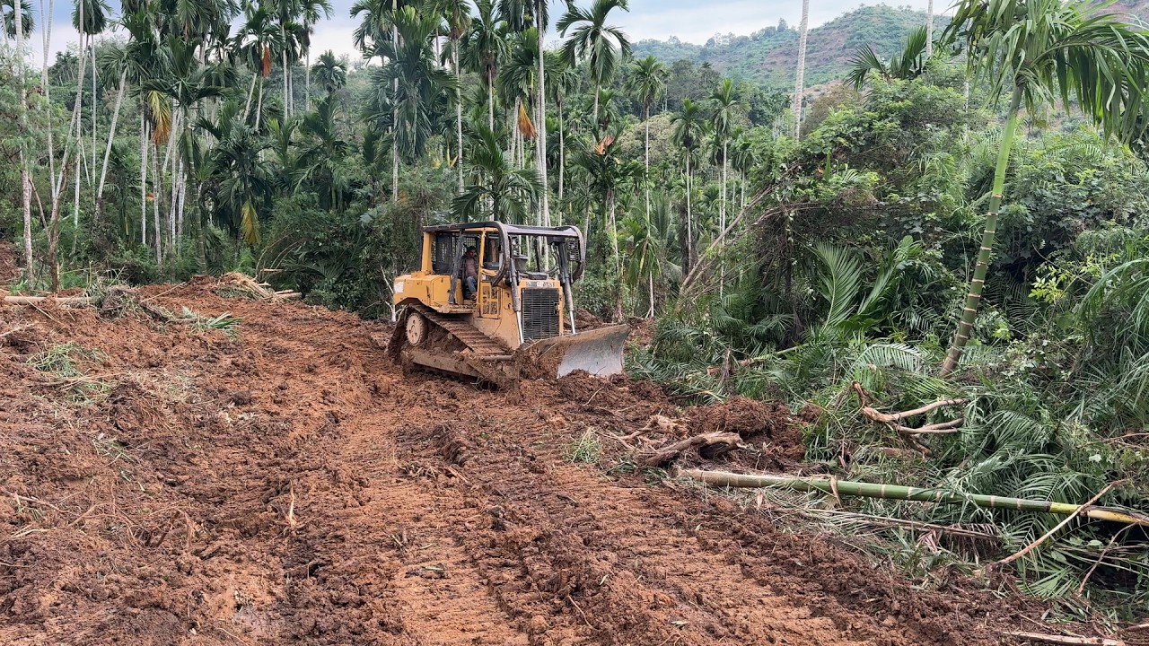 The Effective Process of the D6R XL Bulldozer Forms a Terrace in Oil ...