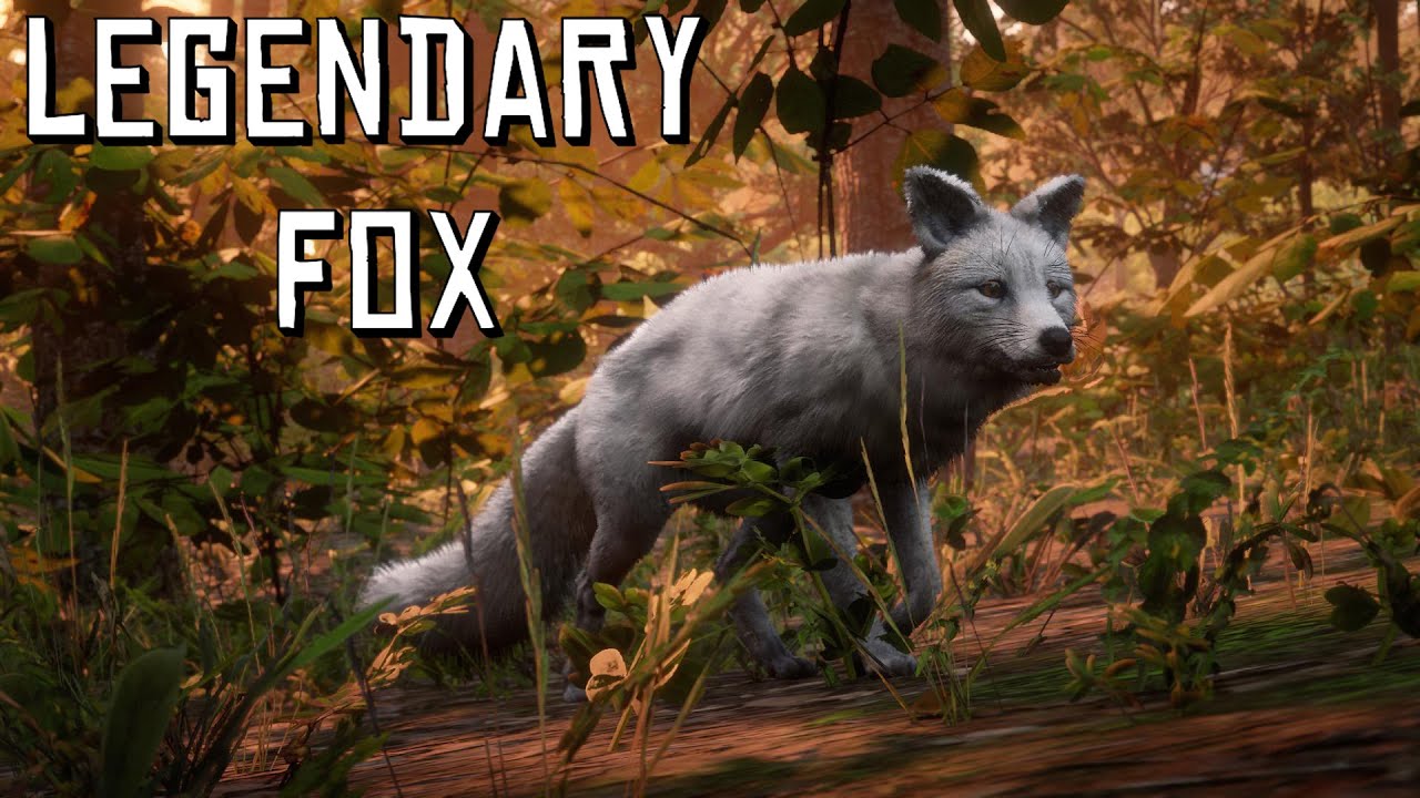 Hunting Legendary Fox - RDR2 - YouTube