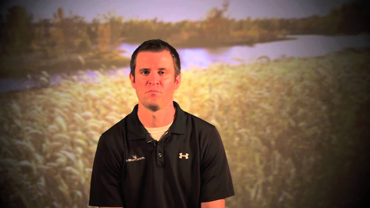 Millborn Seeds Conservation and Wildlife in 2013 - YouTube