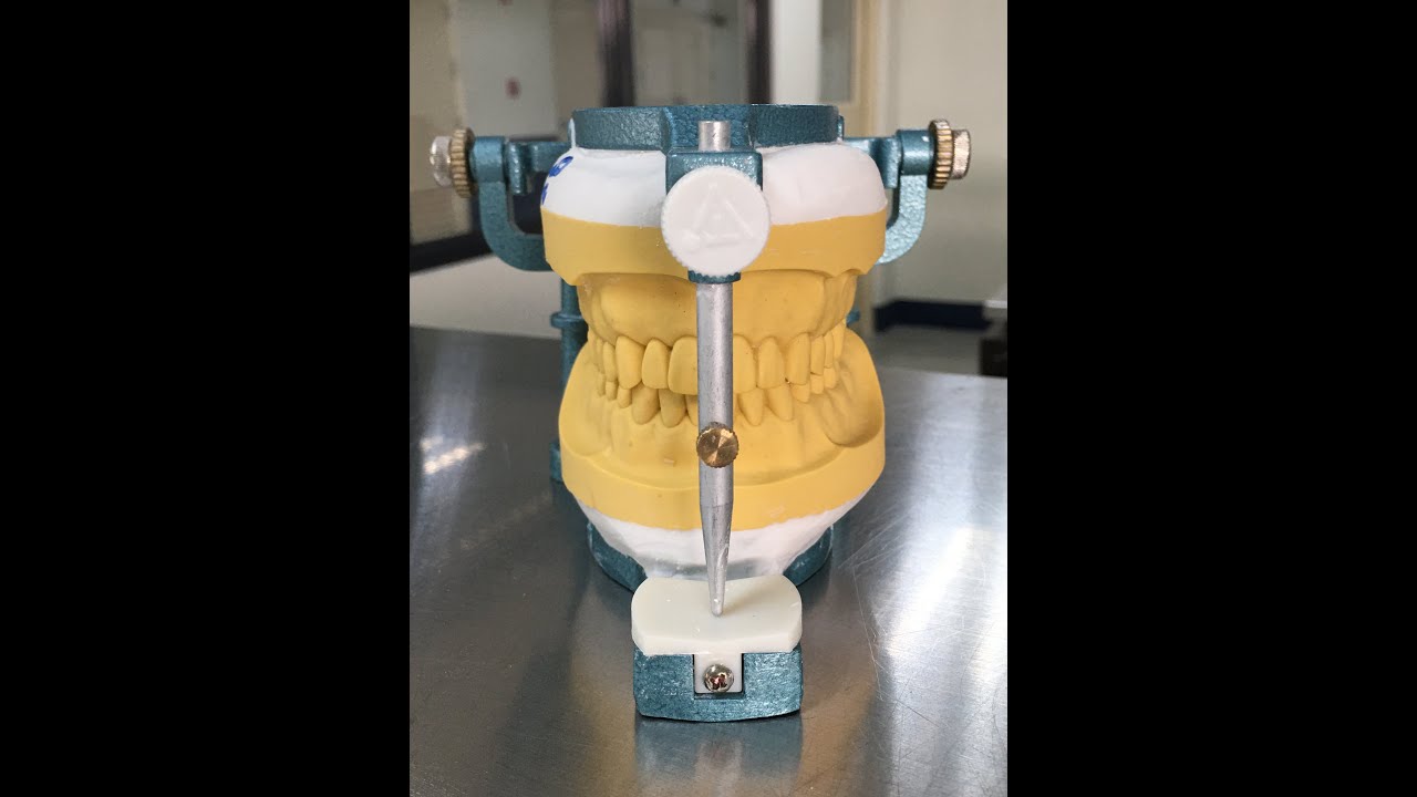 How to mount study casts in Dental Anatomy Lab - YouTube