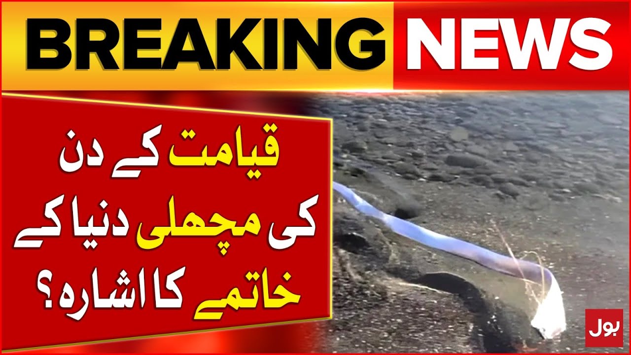Doomsday Fish Real Story Revealed | Latest Updates | Breaking News ...