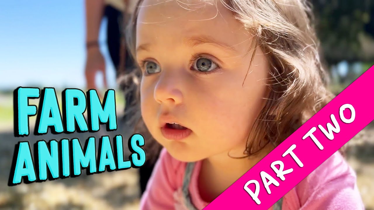 Animal Farm PART 2 🐷🐐🐓🌳 - YouTube