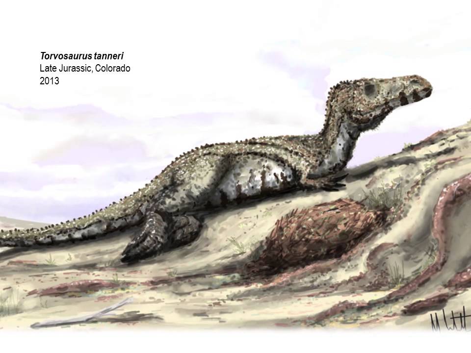 Mark Witton Palaeoartworks: Rolling Gallery - YouTube