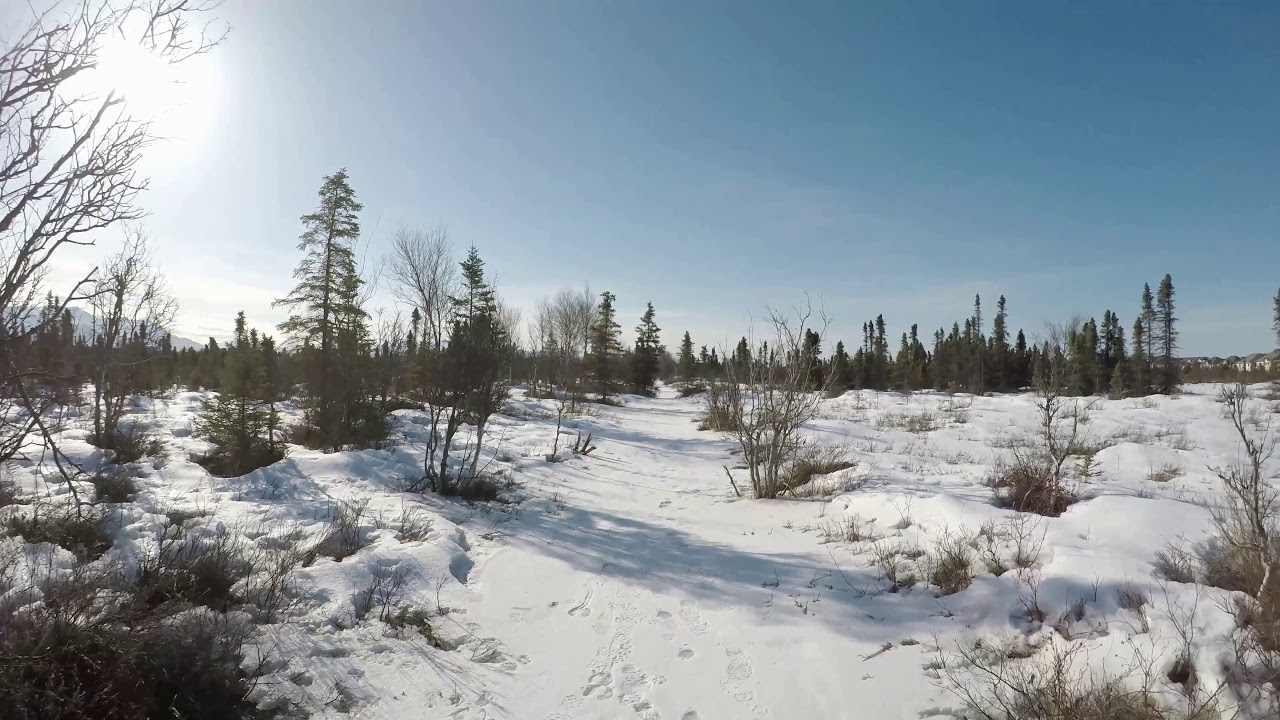 One minute in Alaska - Klatt Bog Walk - YouTube
