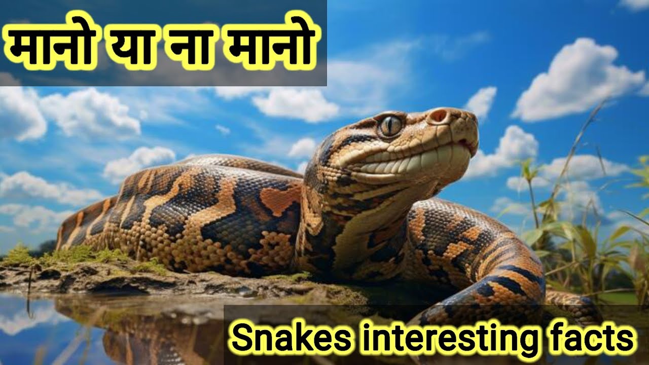Snakes amazing facts. Snakes interesting facts.#viral #trending # ...