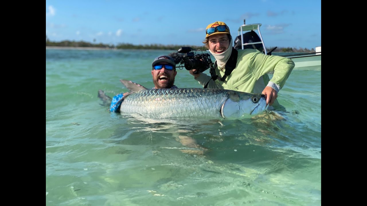 Key West Tarpon - YouTube