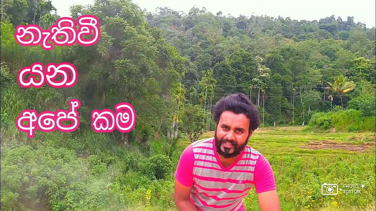 වී ගොවිතැන ## කමත් භෂාව ## බඹර කවි ## govithena# kamath bhashawa ...