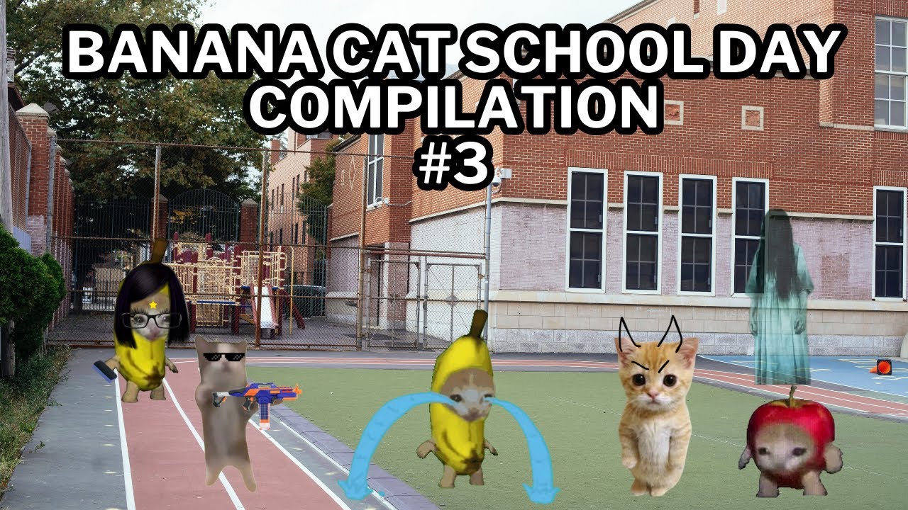 Banana Cat School Day Series Part 3 - Happy Cat TikTok Compilation ...