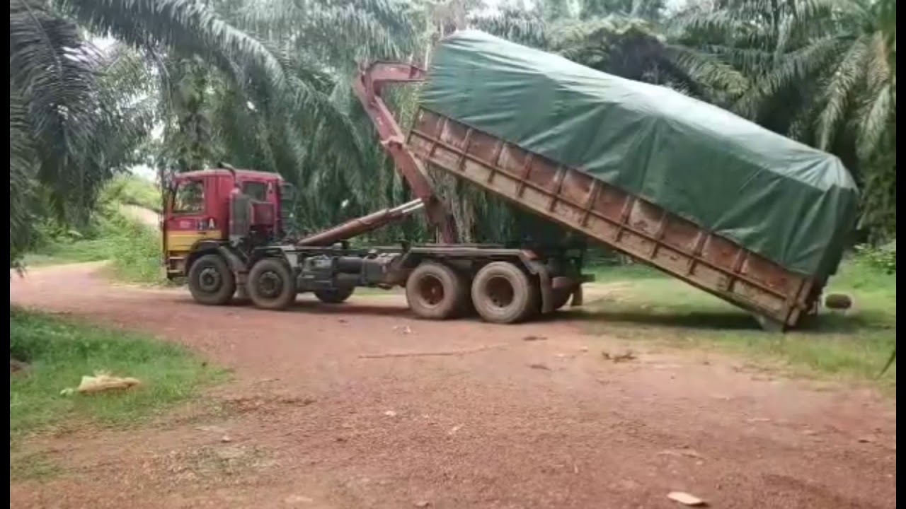 Lori tong angkut buah kelapa sawit 24 ton - YouTube