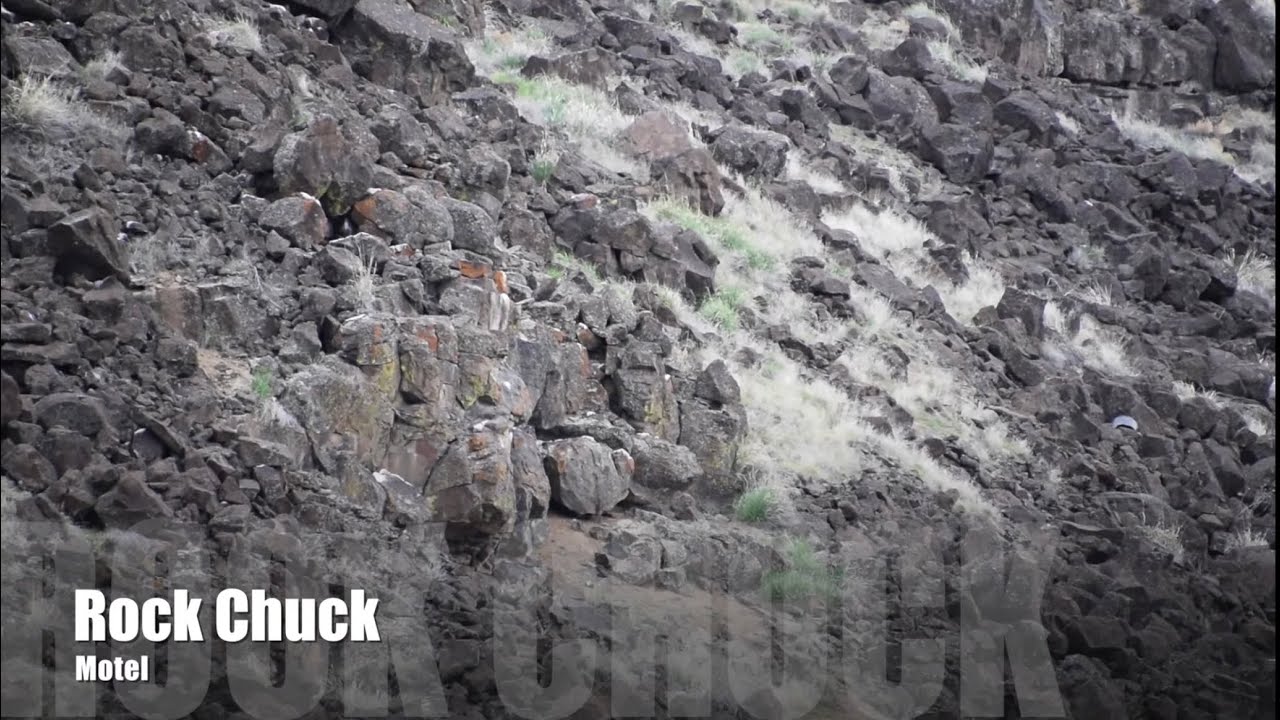 Rock Chuck Devastation - YouTube