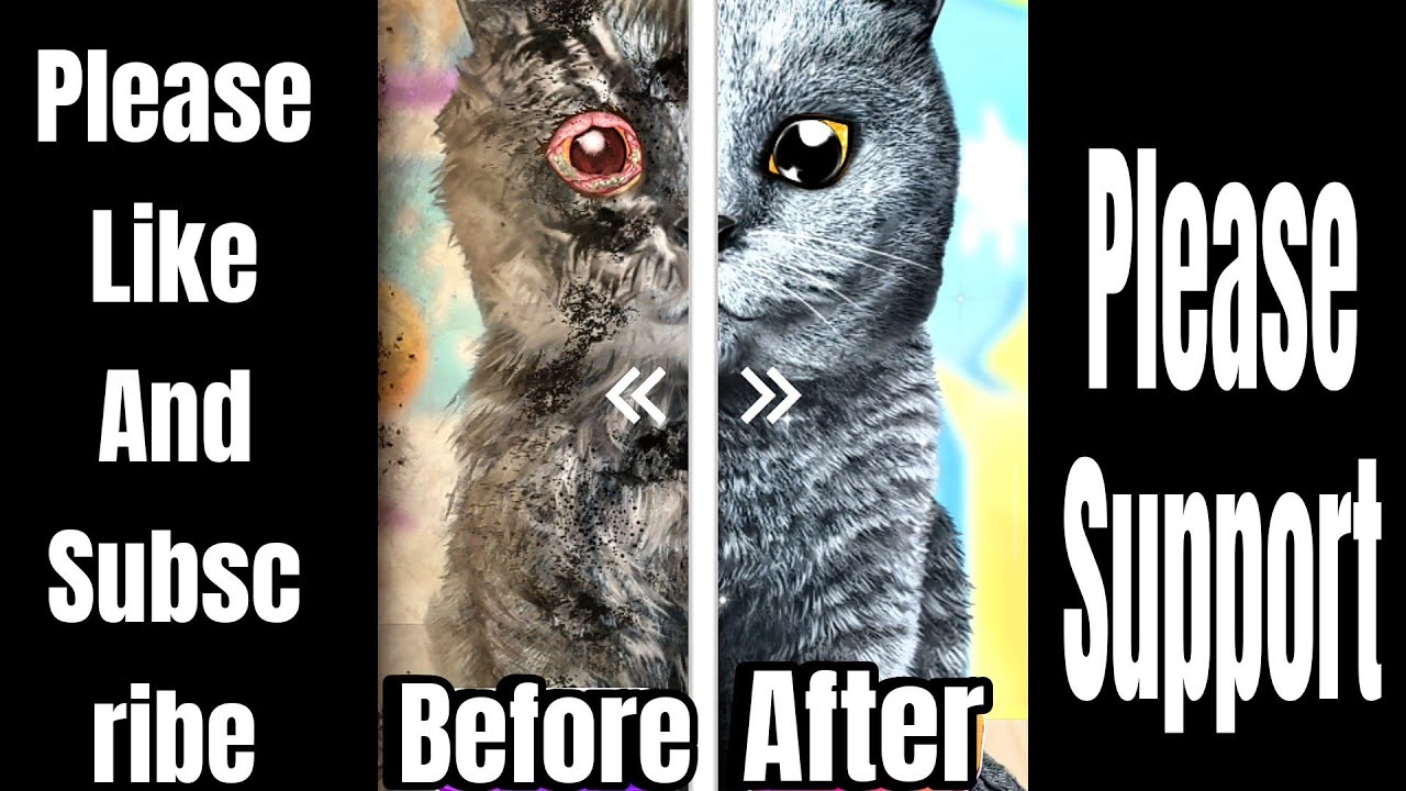 Cat Surgery Animation | cat eye surgery | cat surgery | cat eye ...