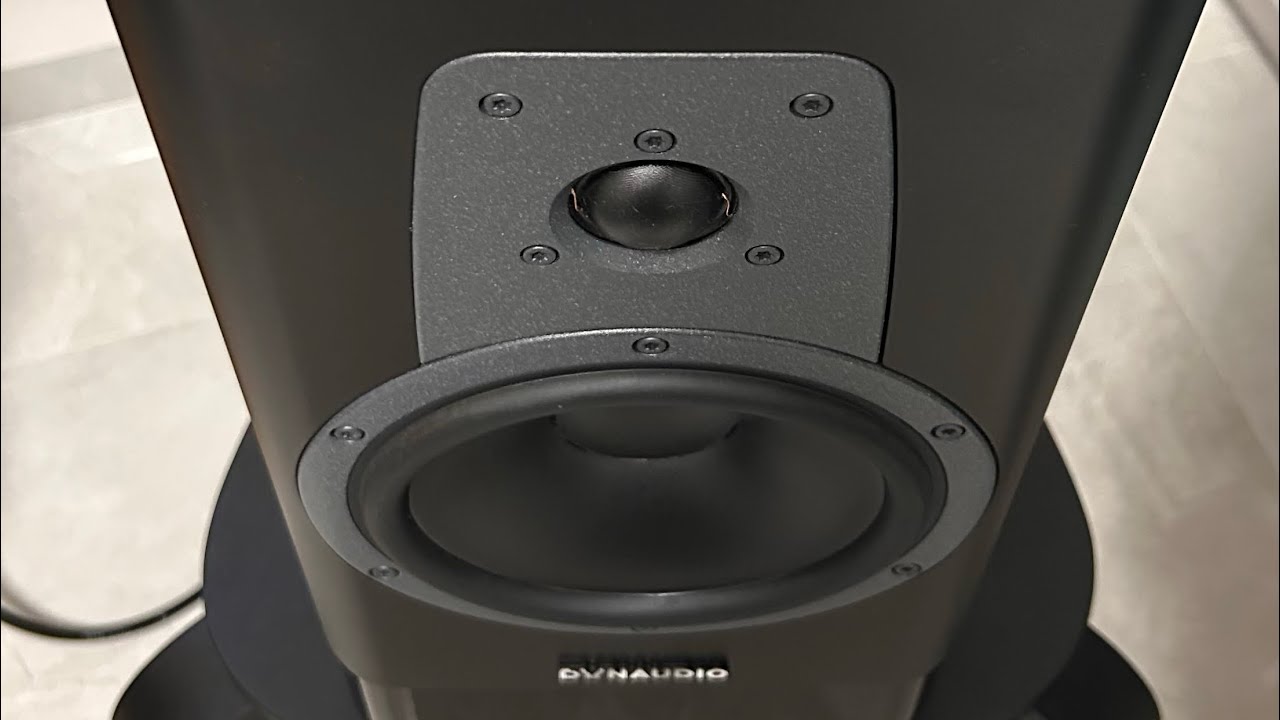 Dynaudio Contour 20i short review and Special 40 comparison! - YouTube
