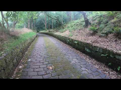 Netherton round 4K (walk) 7 Aug 20 (2) - YouTube