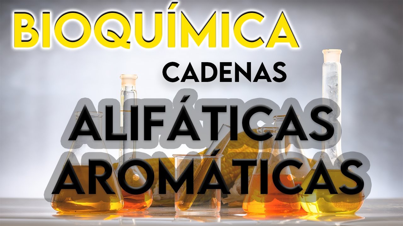 29- ALIFÁTICO Y AROMÁTICO ¿QUÉ ES? || BIOQUÍMICA - YouTube