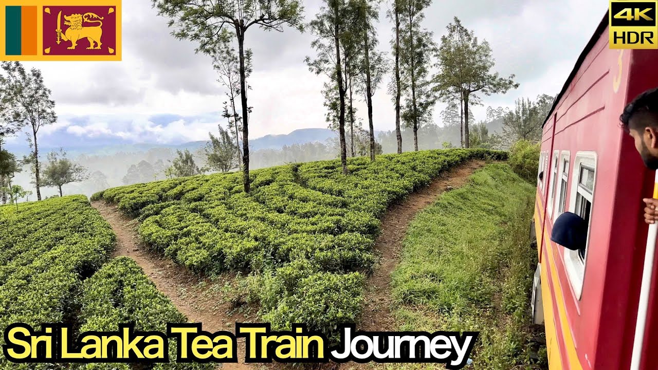 Sri Lanka Tea Train Ride from Nanuoya/スリランカ 紅茶鉄道に乗車 - YouTube