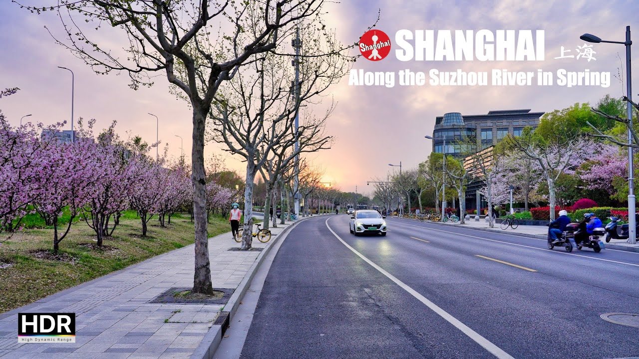 🌸 Along the Suzhou River in Spring - Flower Path - 4K HDR - YouTube