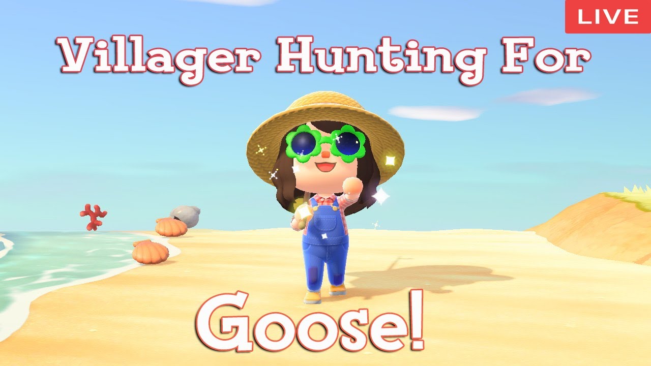 🔴ACNH LIVE: Villager Hunting For Goose! | Animal Crossing New Horizons ...