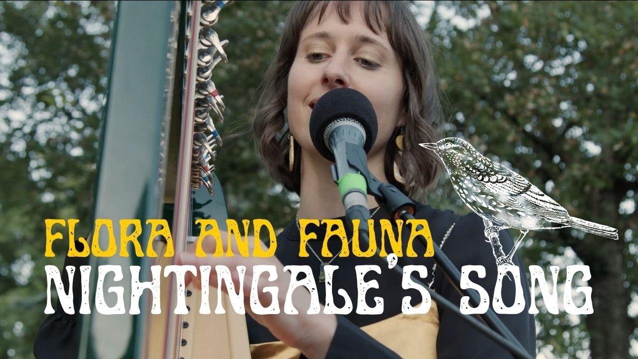 Nightingale's Song | Flora and Fauna - YouTube