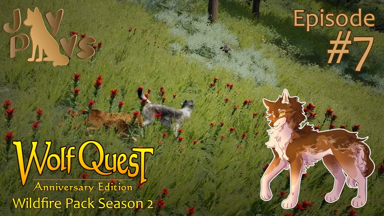 The Peak Pack Returns! | WolfQuest: The Wildfire Pack Season 2 #7 - YouTube