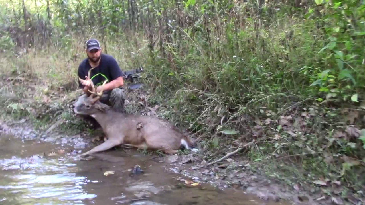Southwest Virginia Early Season Self-Filmed Buck Kill. Big 7 Point Down ...