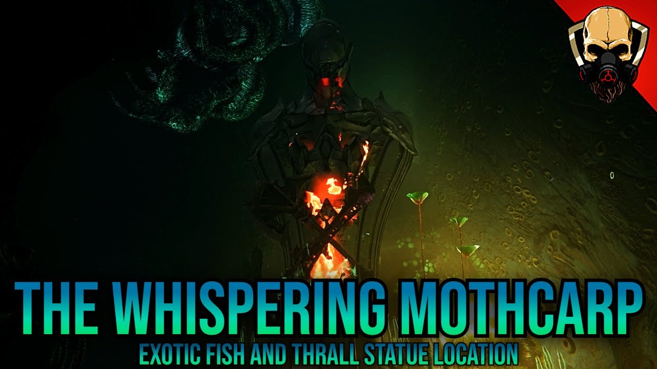 The Whispering Mothcarp + Trall Statue Location | Destiny 2 - YouTube