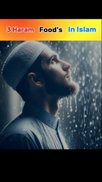 3 Haram Food 's In (Islam) #islam #trending #viralvideo #muslim #shorts ...