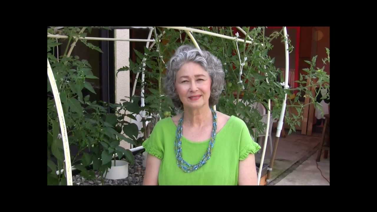 Planting in the Gravel of a Portable Farms Aquaponics System - http ...