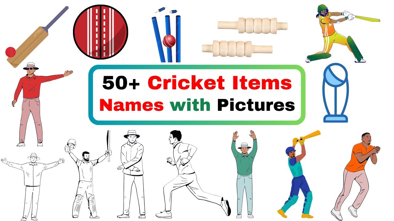 Cricket Equipment Name list with Pictures | All Cricket Accessories ...