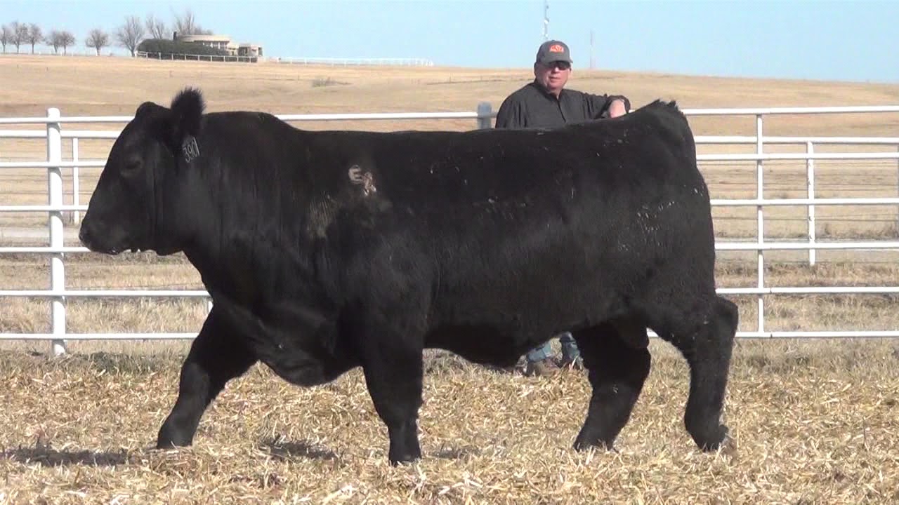 Express Ranches Lot 390 - YouTube