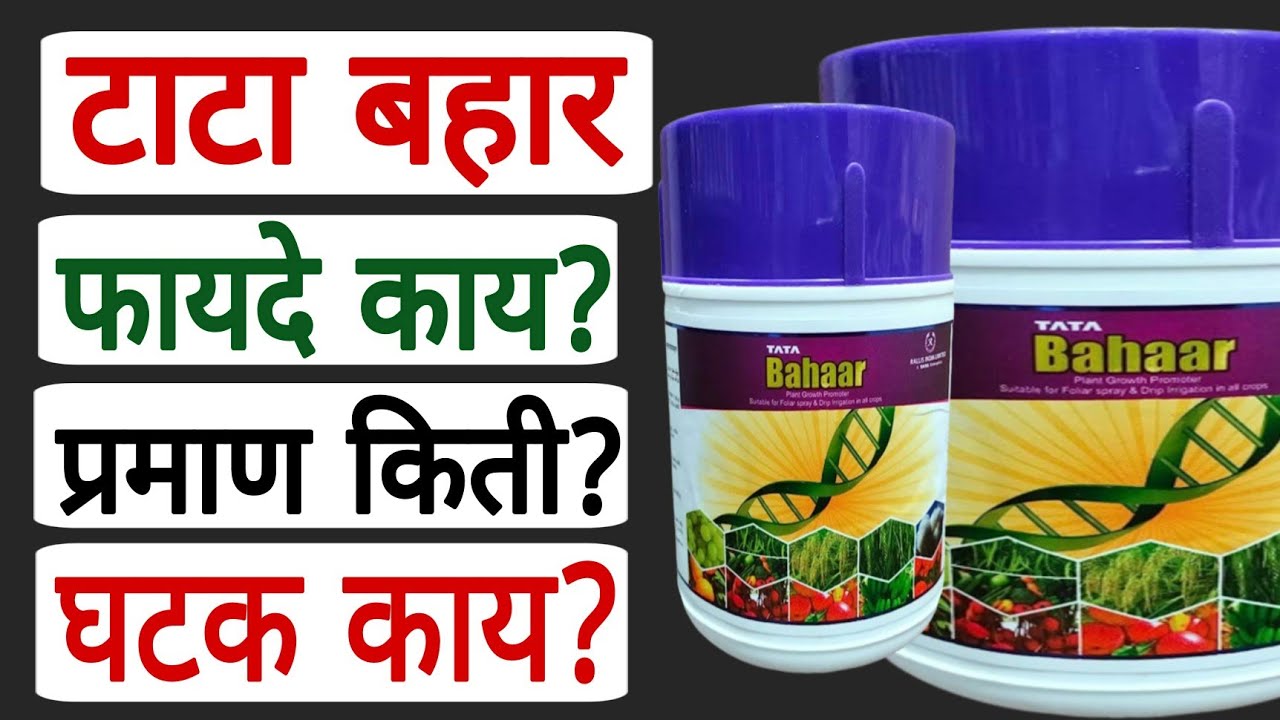 TATA BAHAR | टाटा बहार | Information| | Dnyaneshwar Kharat Patila - YouTube