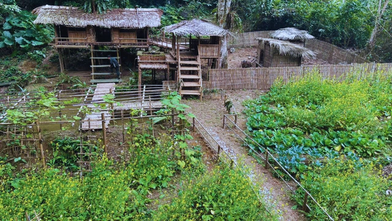 Full Video: Caring for and building a farm in the deep forest. Start ...