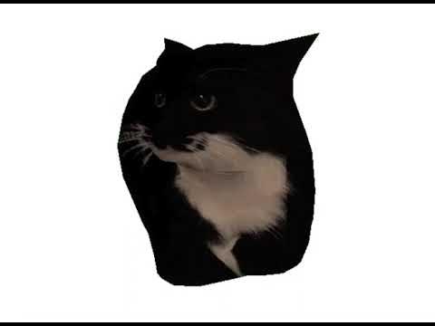 low poly cat set to low quality funkytown - YouTube