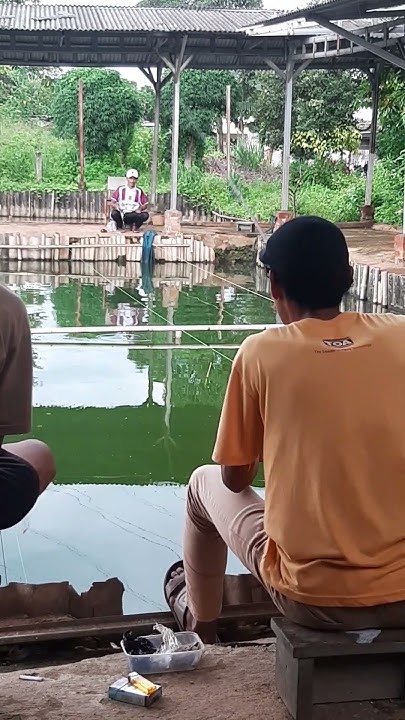 #Mancing ikan mas di empang - YouTube
