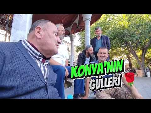 Konya'nın Gülleri!