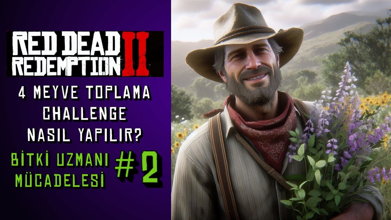 RDR2 Bitki Uzmanı Mücadelesi [4 Meyve Toplama] (Herbalist Challenge) #2 ...
