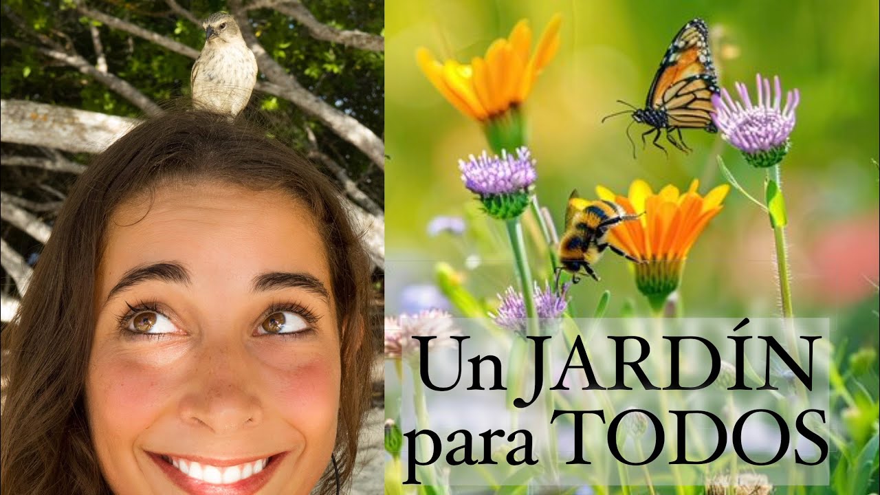 Como CREAR UN JARDÍN para FAUNA SILVESTRE - YouTube