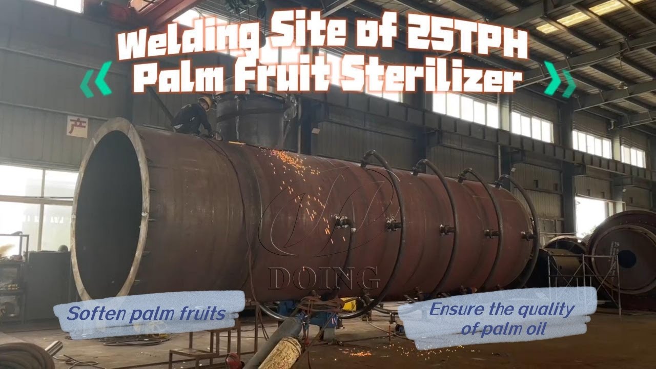 Palm Fruit Sterlizer | Palm Fruit Processing Machine | Palm Fruit ...