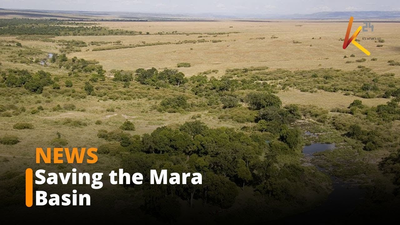 Kenya and Tanzania have to Collaborate to Save Mara River basin - YouTube
