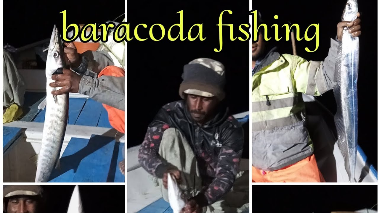 fishing baracoda in gwadar deep sea | losts of size baracoda it night ...
