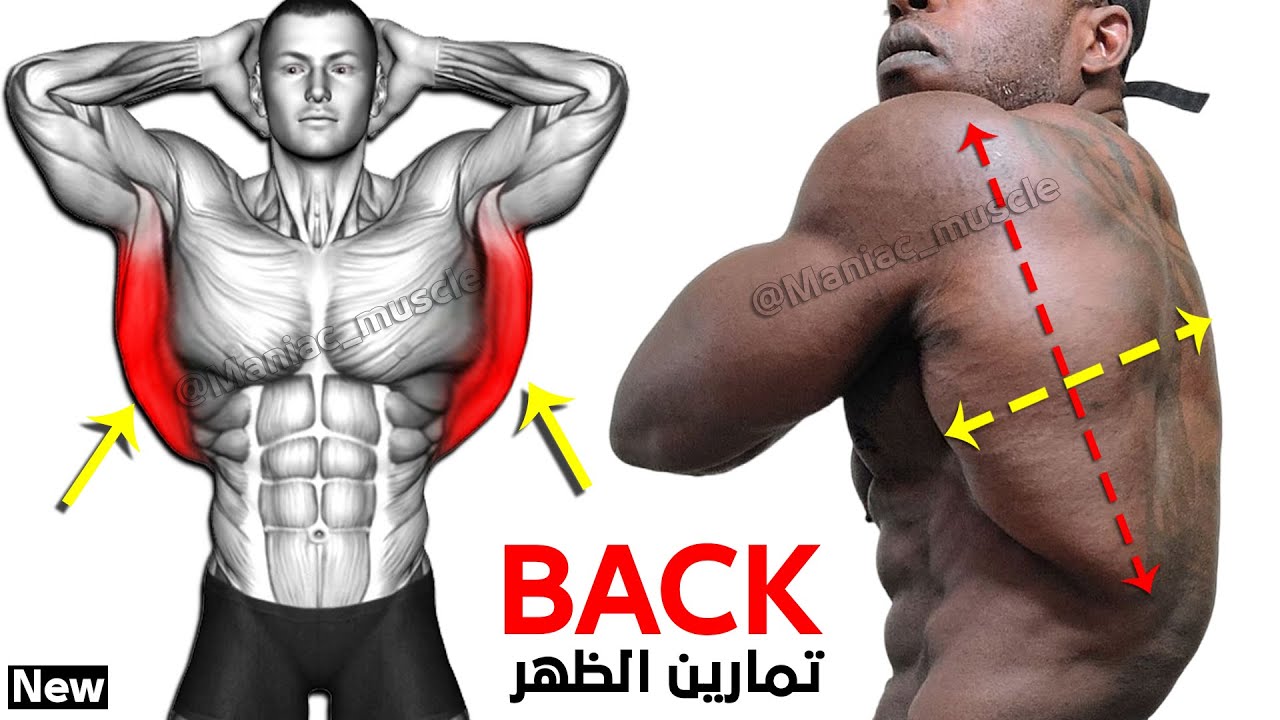 These are the 8 Biggest Back Exercises You Need to Know - YouTube