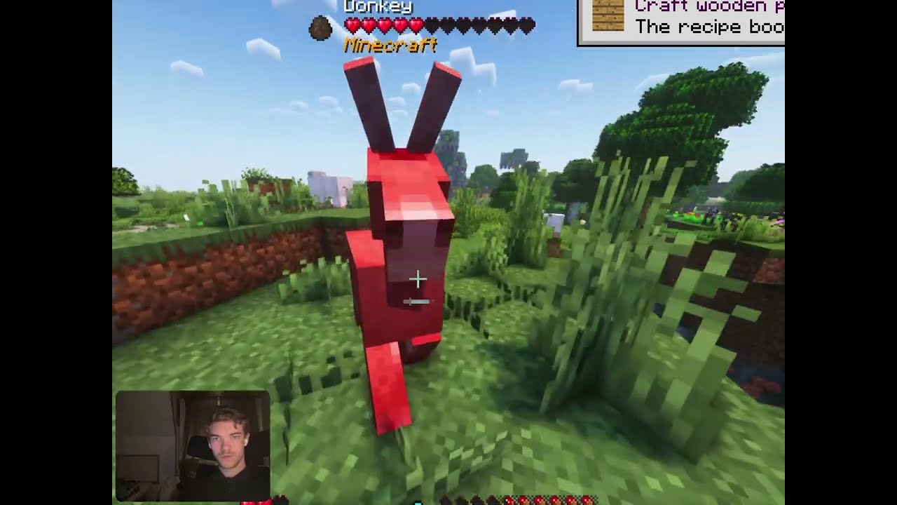 Minecraft - Valhelsia (Såg inte detta komma) - YouTube