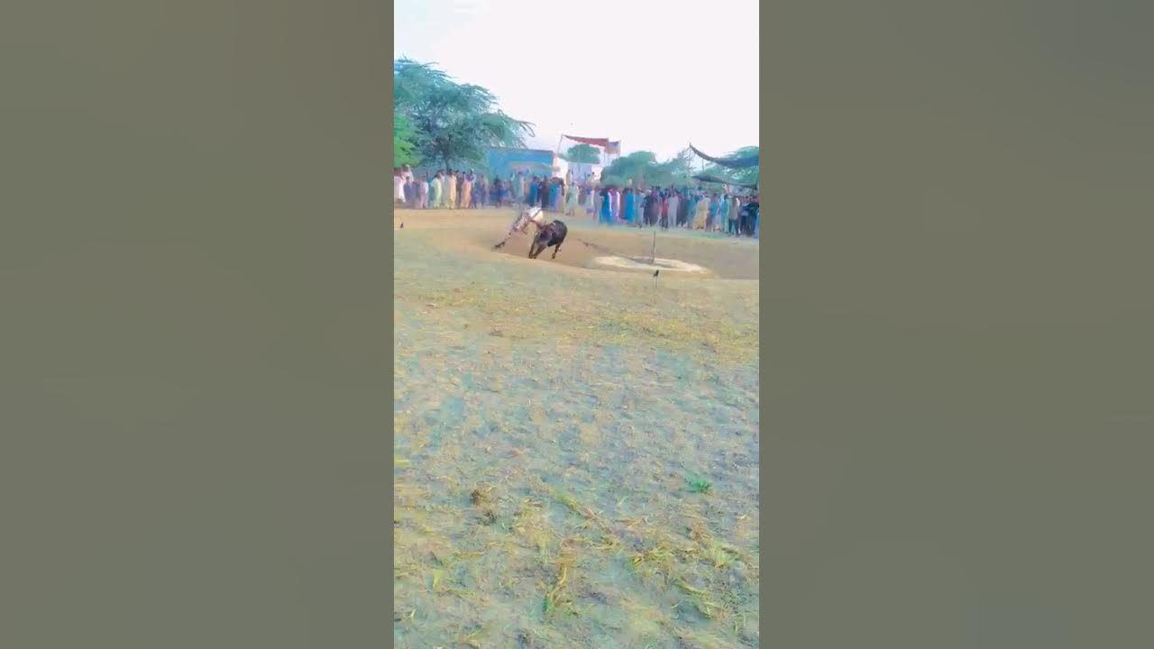 village velog #villagelifestyle #villagelife # #shortvideo #viral# - YouTube