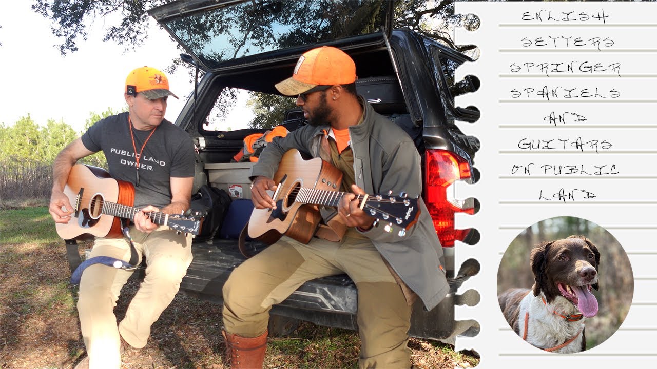 English Setters, Springer Spaniels. Songwriting, and trading Guitars with Patrick Berry full ...